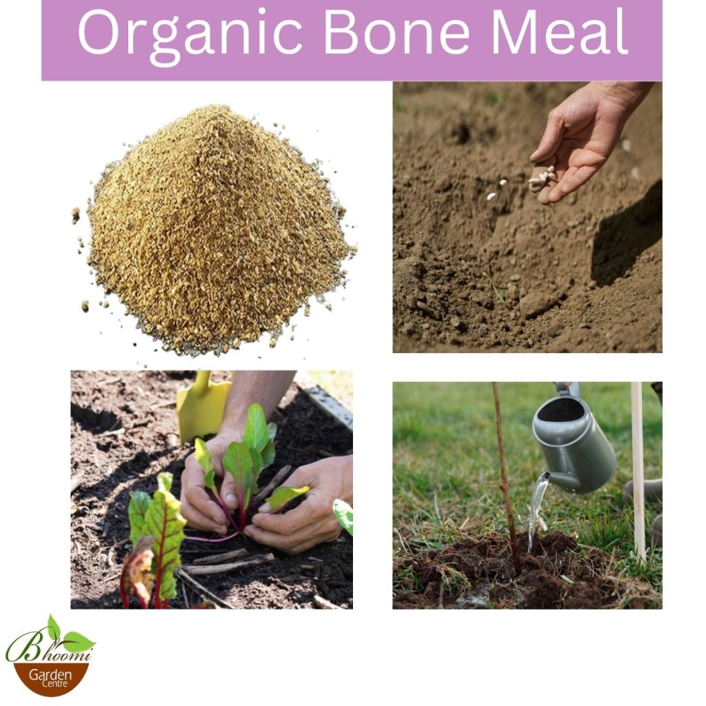Bone Meal for Plants