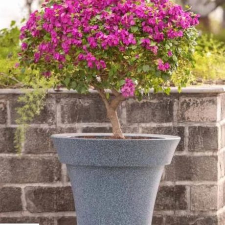 Roto Molded Planters - Online Garden Store