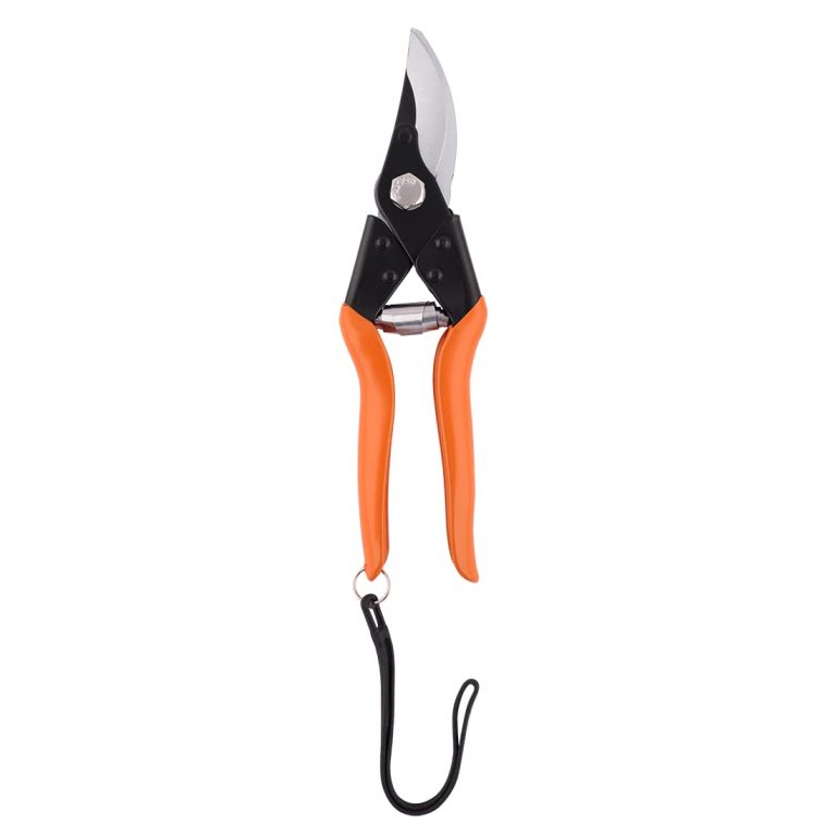 Falcon Pruning Secateurs : Essential Tools for Gardeners