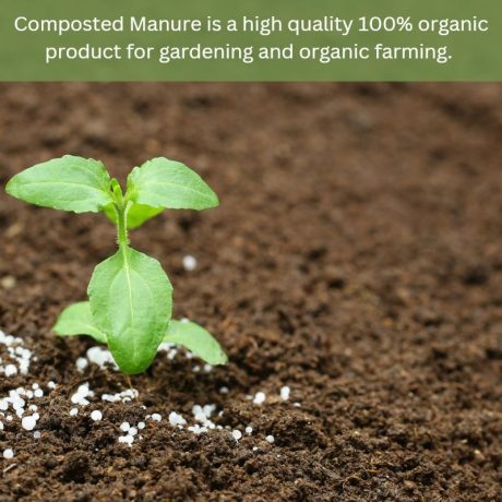 Buy Premium Bhoomi's Organic Manure for Optimal Plant Growth