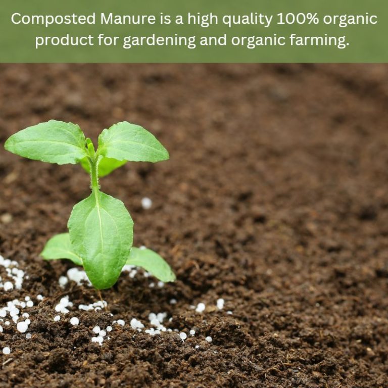 Buy Premium Bhoomi's Organic Manure for Optimal Plant Growth