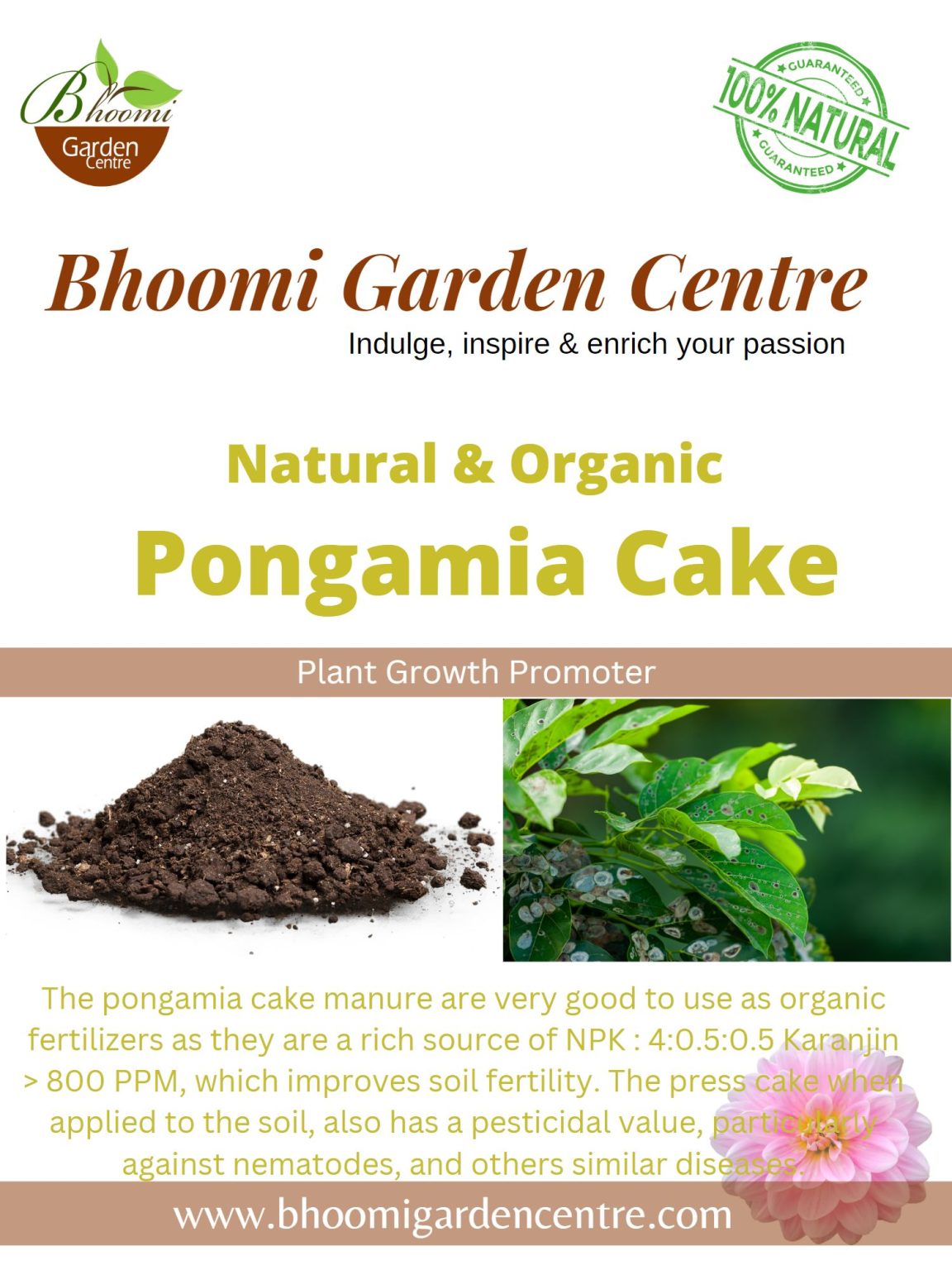 Buy Pure Pongamia Cake Powder for Organic Fertilizer