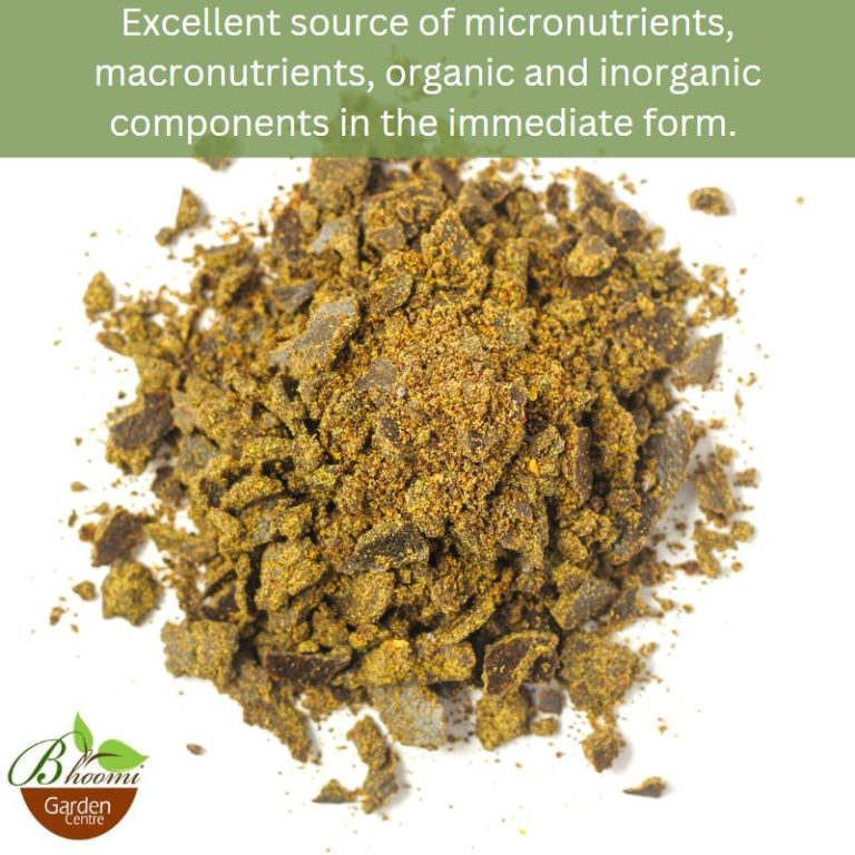 Buy Pure Pongamia Cake Powder for Organic Fertilizer