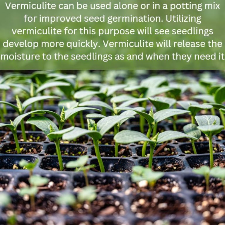Enhance Your Garden with Premium Vermiculite Potting Mix