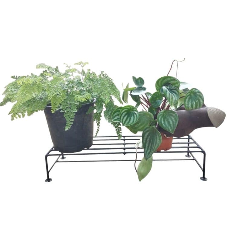 Buy Elegant Indigo Single Step Metal Stand for Your Plants